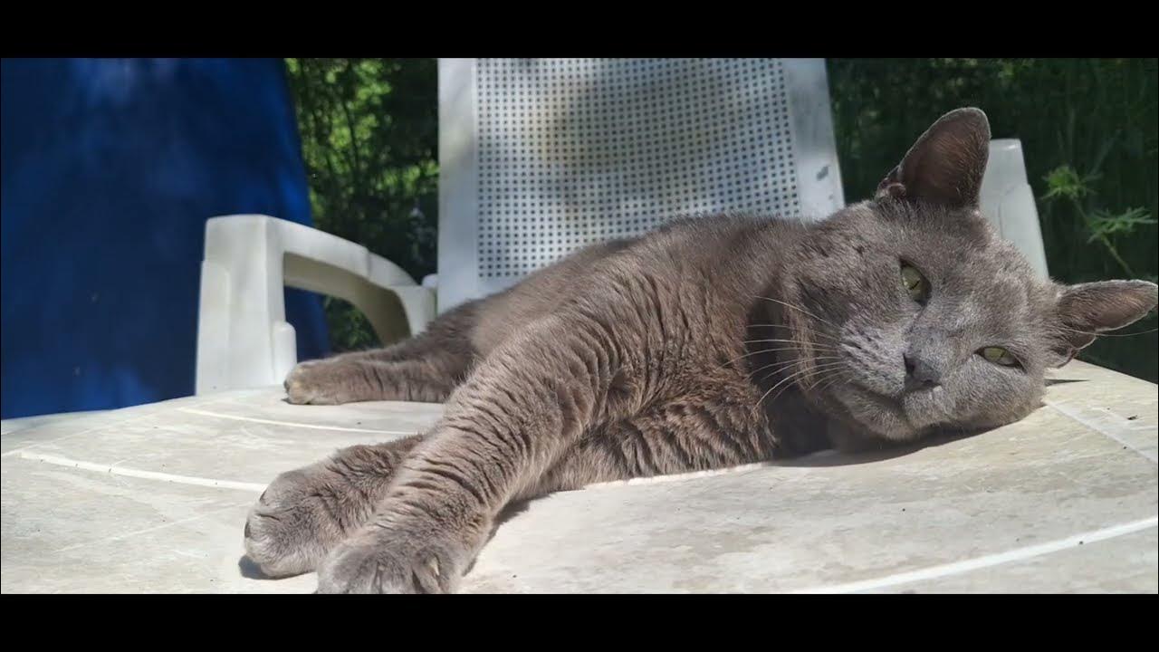 Milla Chats Onlyfans - Real-Time Flight Feeds